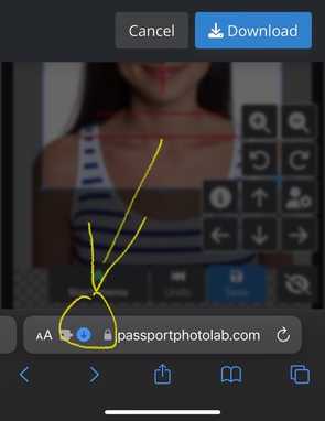 Find Downloaded Photos on iPhone, Android, Mac and Windows | Passport ...